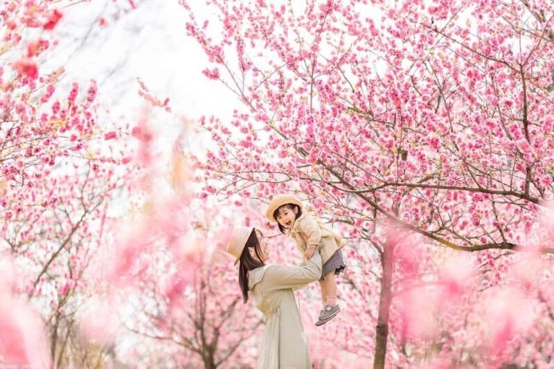Tokyo asakusa An Immersive 3-Hour Kimono Photoshoot - A Deep Dive into the Experience
