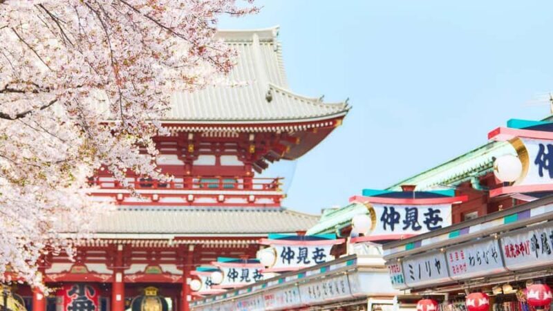 Tokyo: Asakusa Food & Culture Tour with Skytree & Sushi Make - Key Points