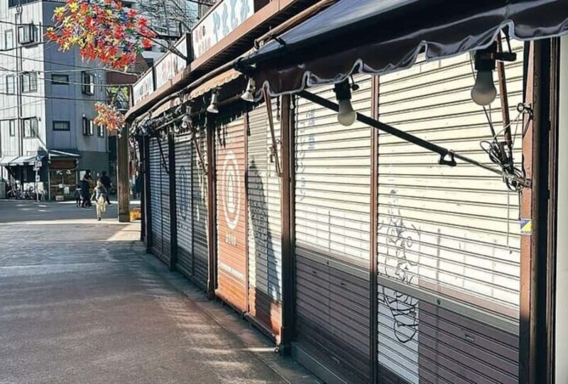 Tokyo: Asakusa, Kappabashi, and Ueno Walking Tour - Who Would Enjoy This Tour?