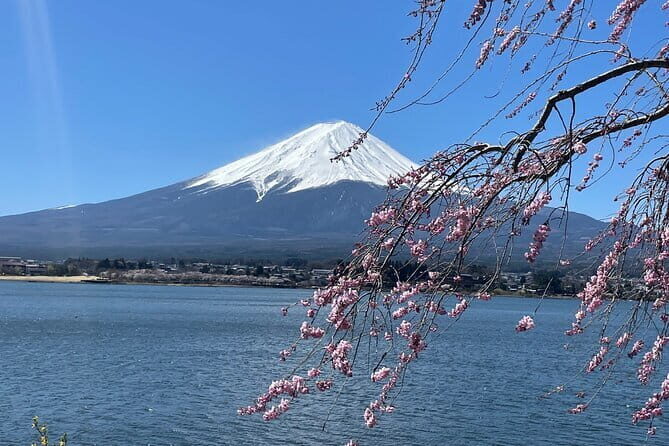Tokyo: Asakusa & Senso-ji Temple 1.5-Hour Guided Tour - Final Thoughts: Is This Tour Right for You?