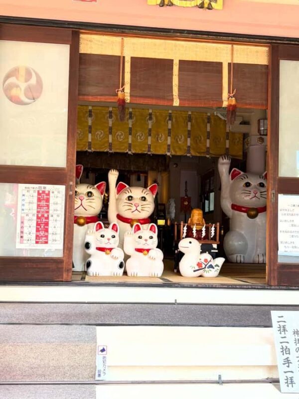 Tokyo: Asakusa, shopping Bike Tour - Who Will Love This Tour?