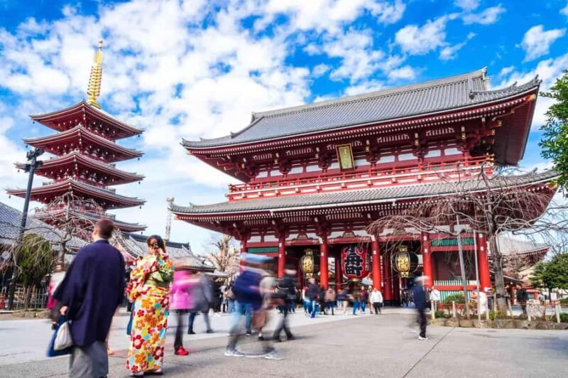 Tokyo: Asakusa Temple, Shinjuku & Live Sumo Wrestling Show - Key Points