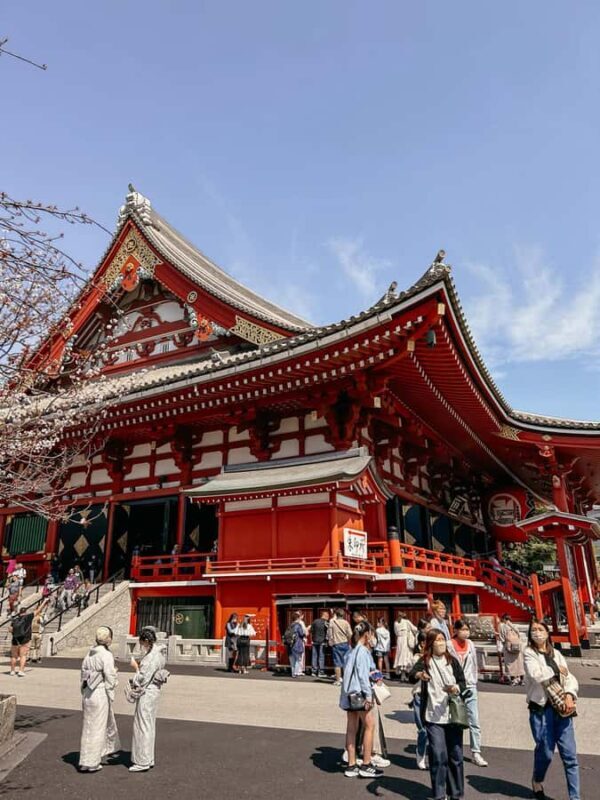 Tokyo: Asakusa, Yanaka, and a tour away from the tourist crowds. - Introduction