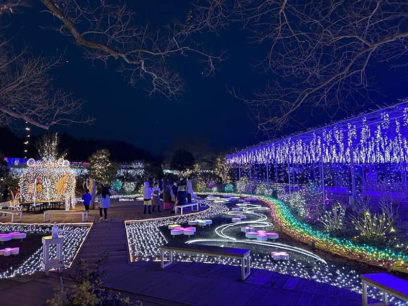 Tokyo: Ashikaga Flower Park with Entry Ticket - Analyzing the Value of the Experience