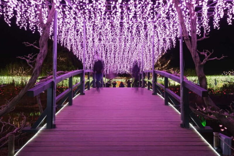 Tokyo: Ashikaga Flower Park with Entry Ticket - Who Will Love This Tour?