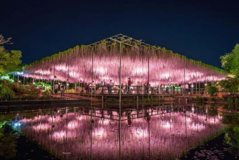 Tokyo: Ashikaga Flower Park with Entry Ticket - FAQ