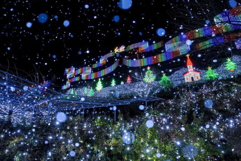Tokyo: Ashikaga Flower Park with Entry Ticket - Key Points