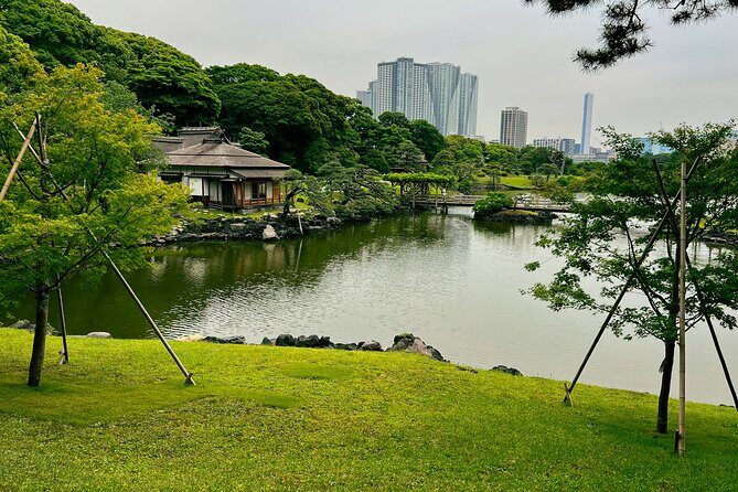 Tokyo Bay and Tsukiji Fish Market - An In-Depth Look at the Tour Experience