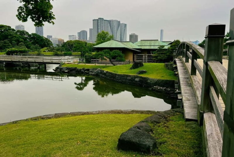 Tokyo Bay and Tsukiji Fish Market - Discovering Tokyo’s Waterfront: The Odaiba Experience