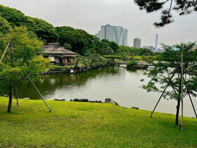 Tokyo Bay and Tsukiji Fish Market - What to Expect: Practicalities and Highlights