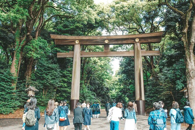 Tokyo: Big Highlights - Asakusa, Shibuya & Meiji Shrine tour - Practical Details and Tips