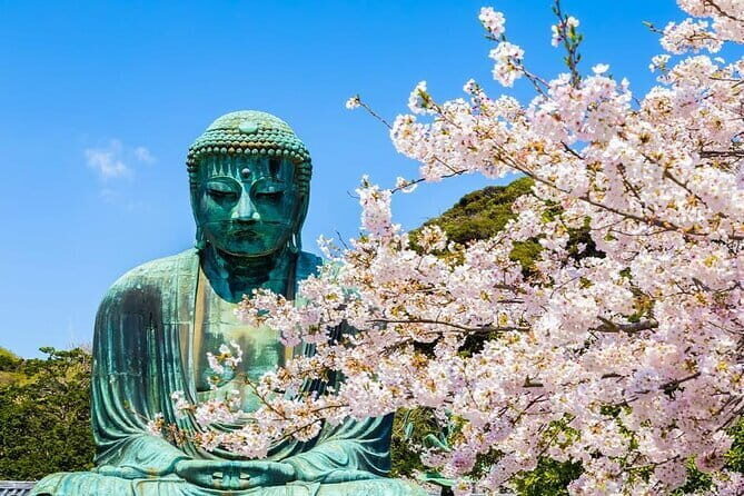 Tokyo Bus Tour to Kamakura Great Buddha and Enoshima with Pickup - Key Points