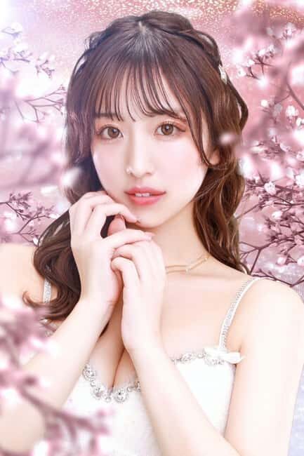 Tokyo: Cabakura Nightlife Experience - The Practicalities: What You Need to Know