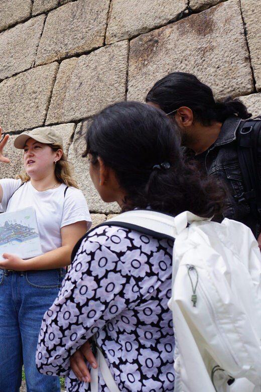 Tokyo Castle: Imperial Palace, Shogun & Garden Walking Tour - Who Should Consider This Tour?