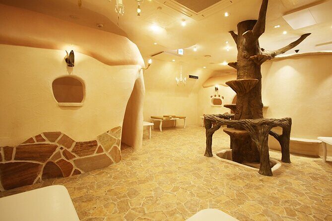 Tokyo Cat Cafe in Kichijoji - Castle Themed - FAQs