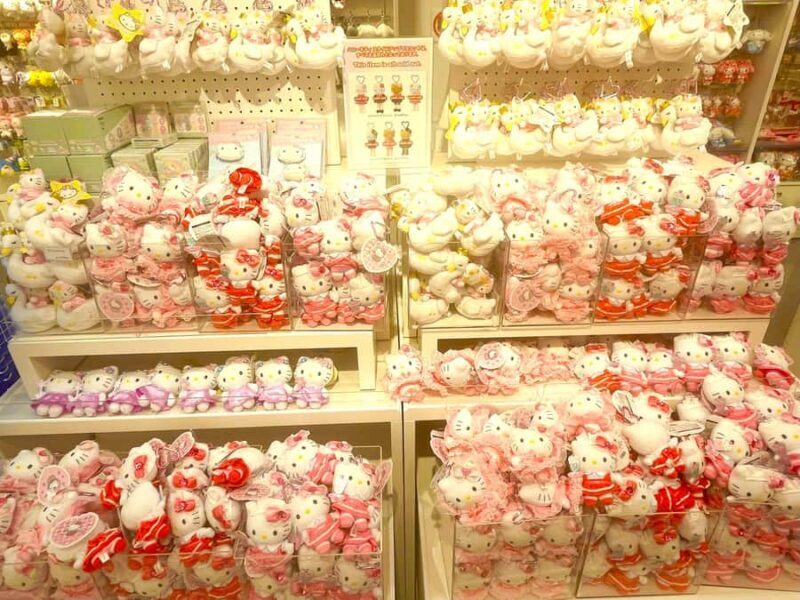 Tokyo: Cat-themed Bookstore & Shinjuku Cat cafe Night Tour - Shopping for Japanese Character Goods