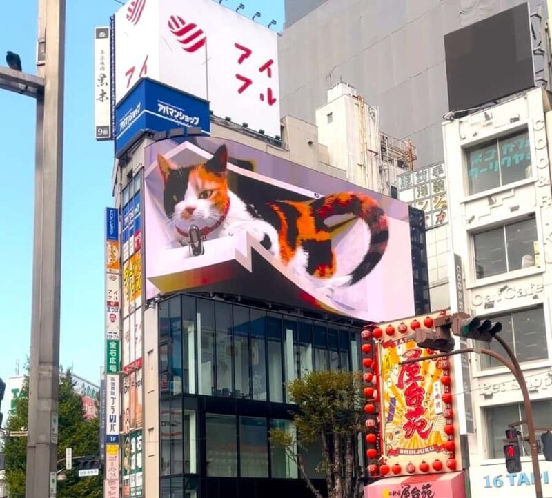 Tokyo: Cat-themed Bookstore & Shinjuku Cat cafe Night Tour - FAQ