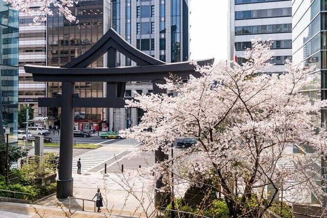 Tokyo Cherry Blossom, Hot Spring, and Strawberry Picking Tour - Sakura no Sato: Cherry Blossom Paradise