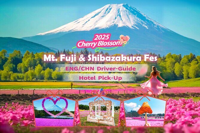 Tokyo Cherry Blossom Mt Fuji and Shibazakura Festival Day Trip - Key Points