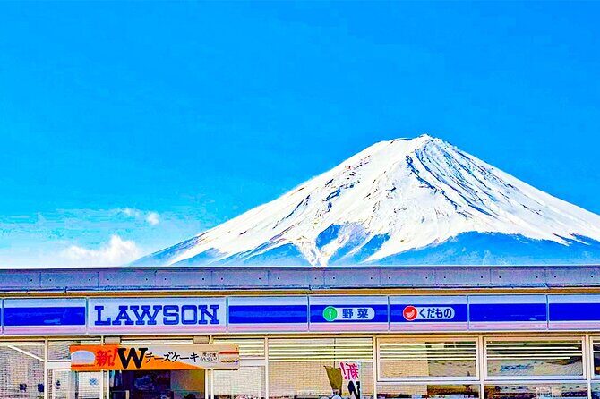 Tokyo Cherry Blossom Mt Fuji and Shibazakura Festival Day Trip - Final Thoughts