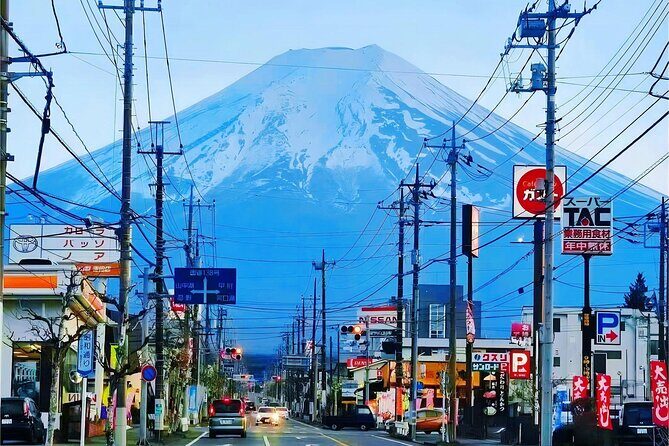 Tokyo Cherry Blossom Mt Fuji and Shibazakura Festival Day Trip - FAQ