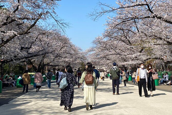 Tokyo Cherry Blossom Walking Tour - Key Points
