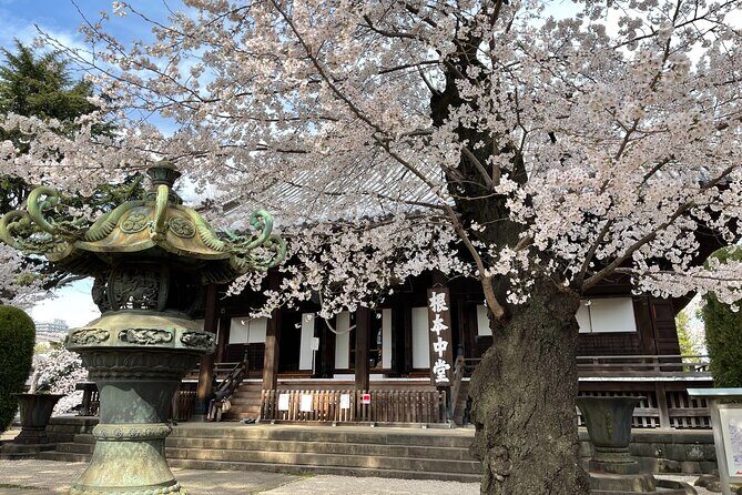 Tokyo Cherry Blossom Walking Tour - FAQ