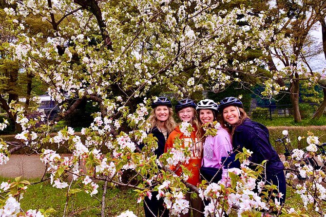 Tokyo Cherry Blossoms blooming spots E-bike Tour, 3hrs - A Detailed Look at the Tour Itinerary