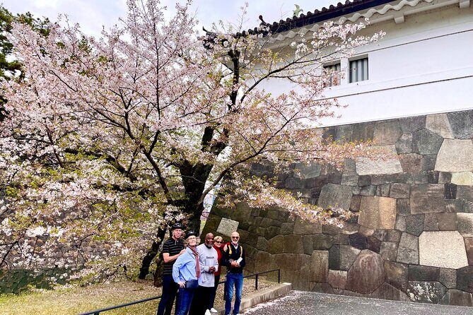 Tokyo Cherry Blossoms blooming spots E-bike Tour, 3hrs - Final Thoughts