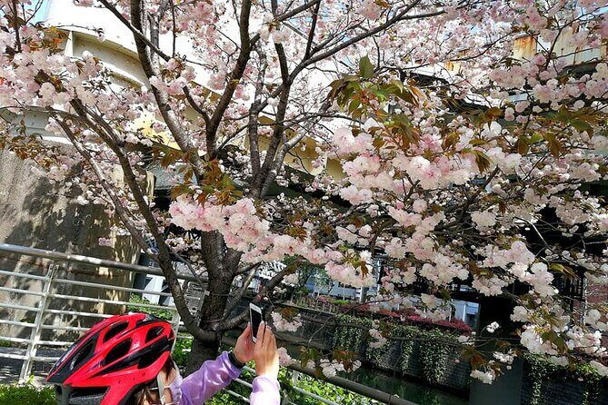 Tokyo Cherry Blossoms blooming spots E-bike Tour, 3hrs - Who Should Consider This Tour?