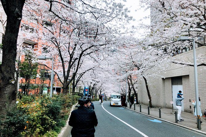 Tokyo Cherry Blossoms blooming spots E-bike Tour, 3hrs - FAQ
