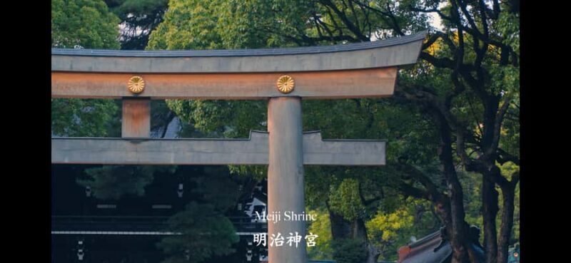 Tokyo: Cinematic Video Tour with Edited Clips - Why This Experience Offers Good Value