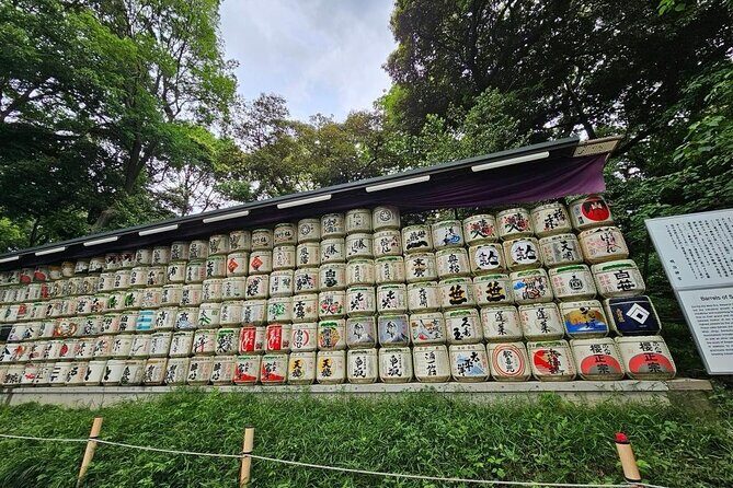 Tokyo City Attractive One Day Tour - An Accessible Way to See Tokyos Highlights