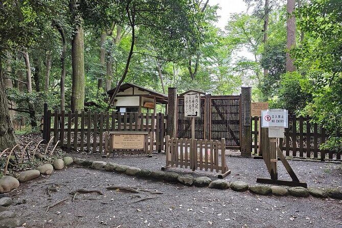 Tokyo City Attractive One Day Tour - Who Will Love This Tour?