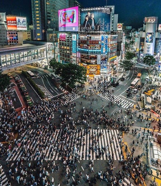 Tokyo city day tour with englisg speaking driver. - The Journey in a Luxury Vehicle