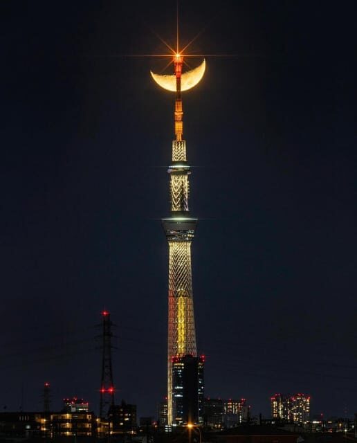 Tokyo city day tour with englisg speaking driver. - The Highlights that Make the Tour Special