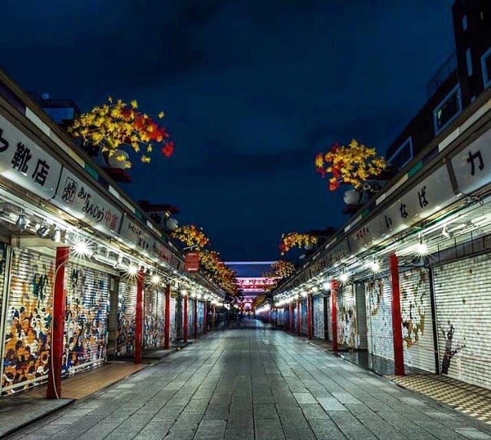 Tokyo city day tour with englisg speaking driver. - Practical Details & Value