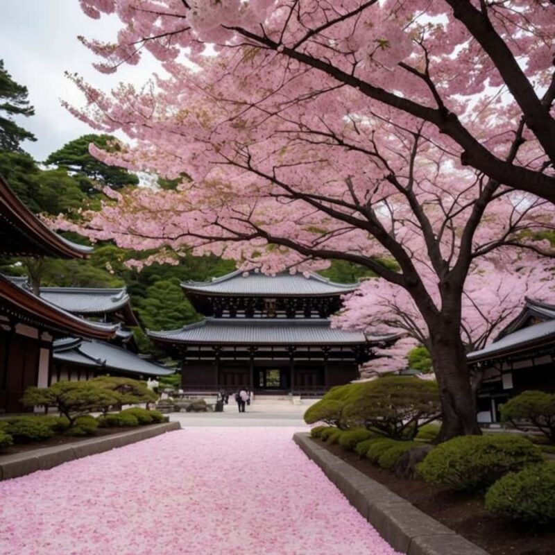 Tokyo City Must See Private Tour Sightseeing Full Customised - An Honest Look at the Tokyo Must-See Private Tour