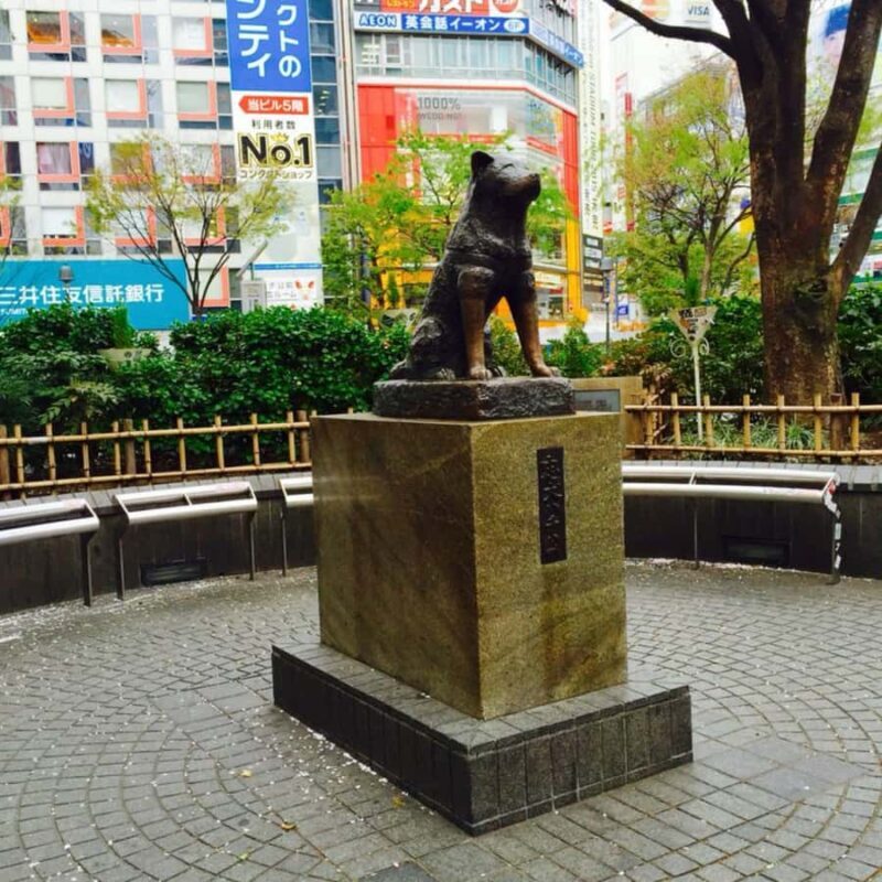 Tokyo City Must See Private Tour Sightseeing Full Customised - The Sum Up