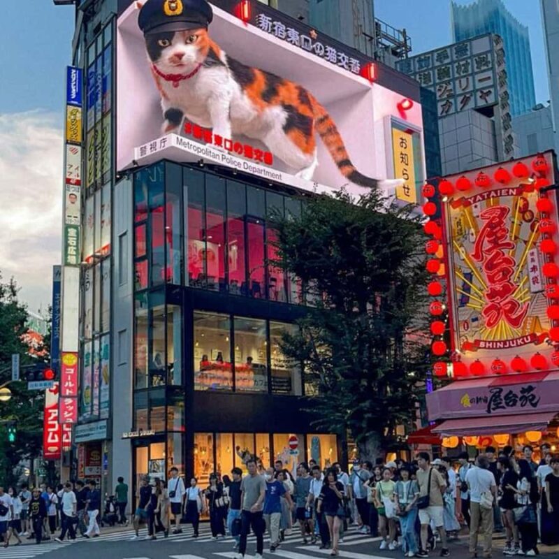 Tokyo City Private Catchy Tour With English Speaking Guide - Key Points