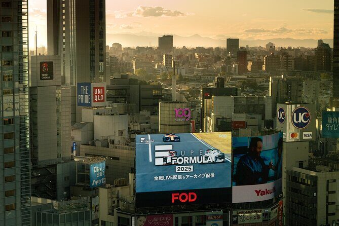 Tokyo City Private Full Day TOUR - Comprehensive Review of the Tokyo City Private Full Day TOUR