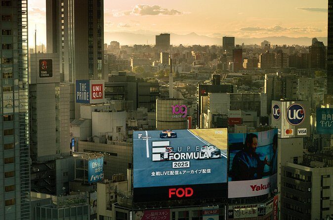 Tokyo City Private Full Day TOUR - The Practicalities of a Private Full-Day Tour