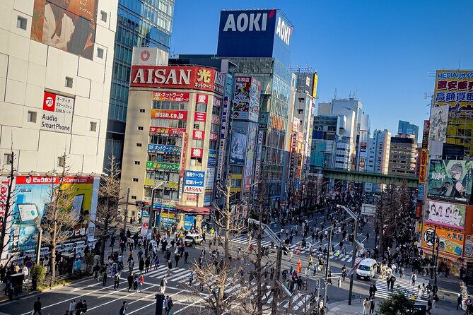 Tokyo City Private Full Day TOUR - What Travelers Say and the Value of Experienced Guides