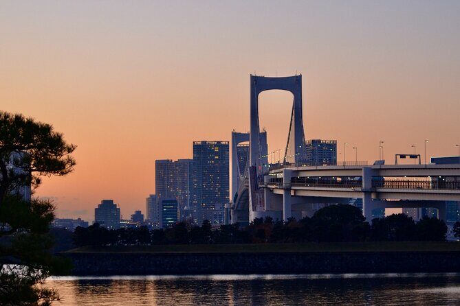 Tokyo City Private Full Day TOUR - Who This Tour Is Best For