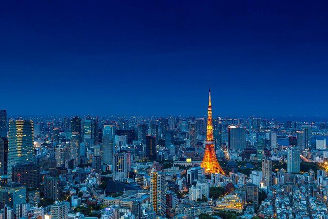 Tokyo city private ride - custom Destinations - Final Thoughts on Value