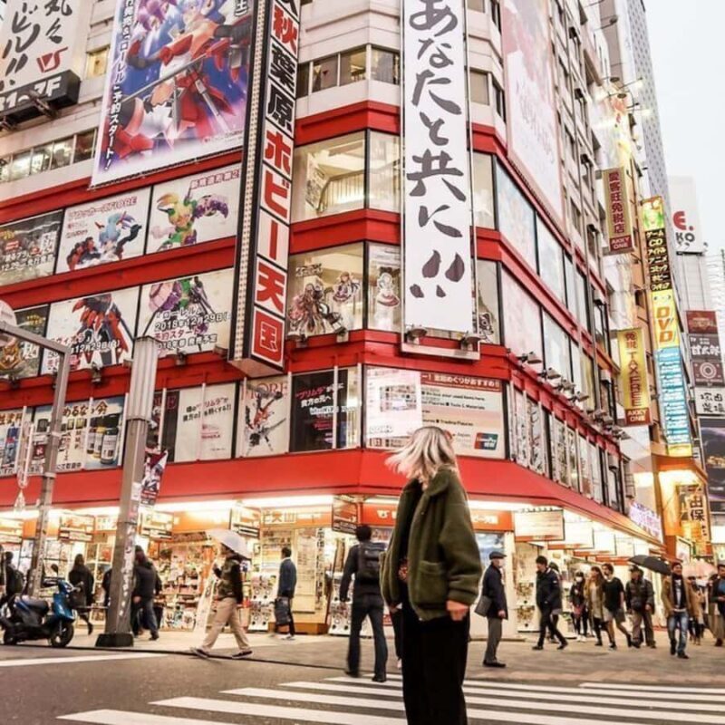 Tokyo City Private Tour Customizable Itinerary Top Places - Final Thoughts: Is This Tour Right for You?