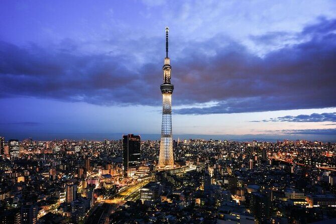 Tokyo City Private Tour up to 6 Persons - Why Choose a Private Tour in Tokyo?