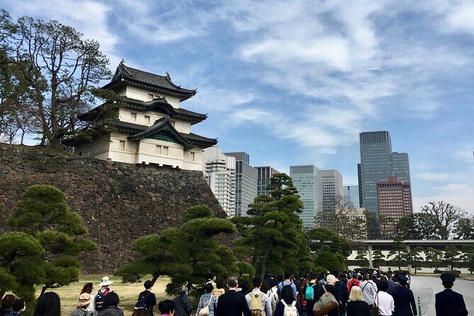 Tokyo City Private Tour up to 6 Persons - Analyzing the Value: Is It Worth It?