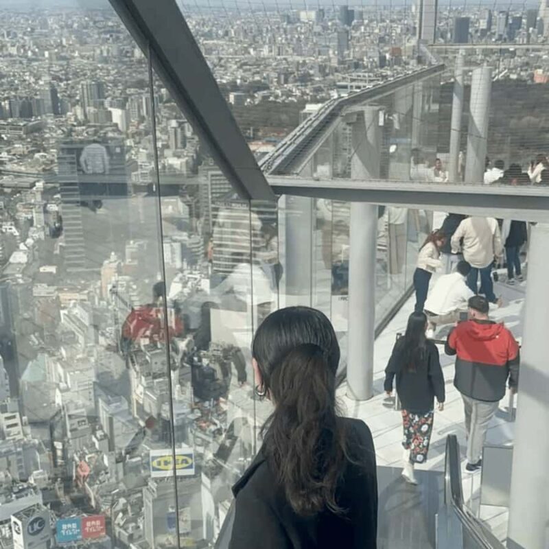 Tokyo City Private Tour Visit Skytree Senso-ji, Meiji Shrine - Final Thoughts