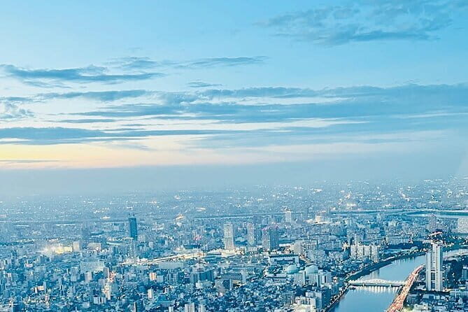 Tokyo City Private Tour with English Driver - Key Points